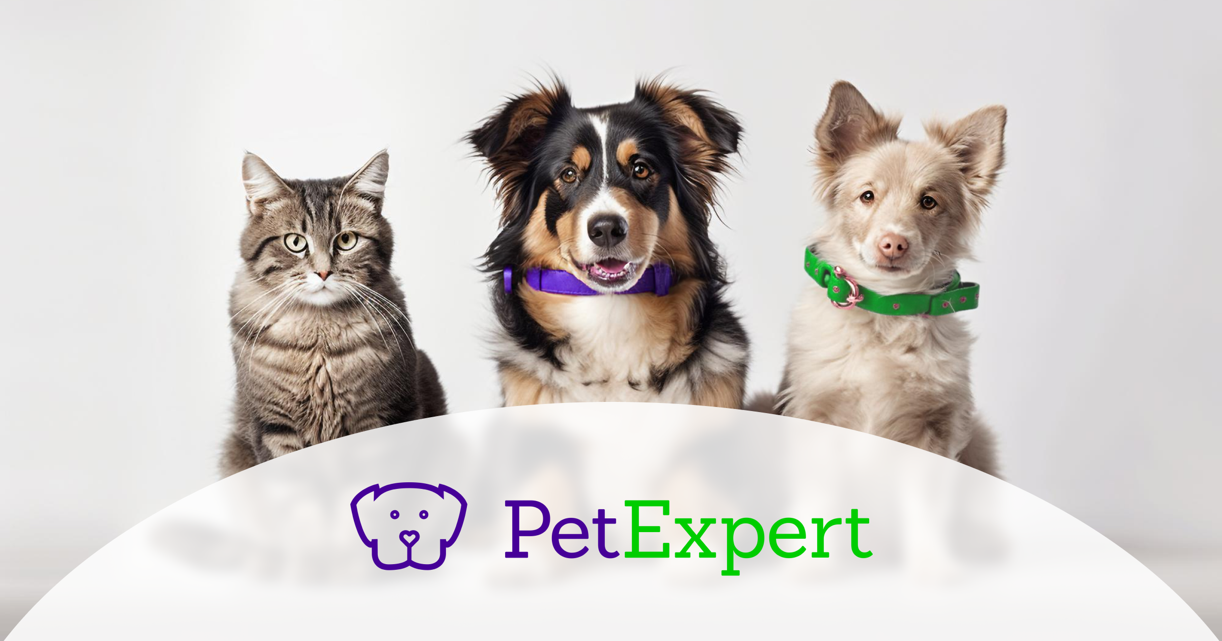 Animal health insurance for cats and dogs PetExpert